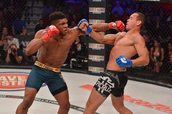 Picture of Paul Daley