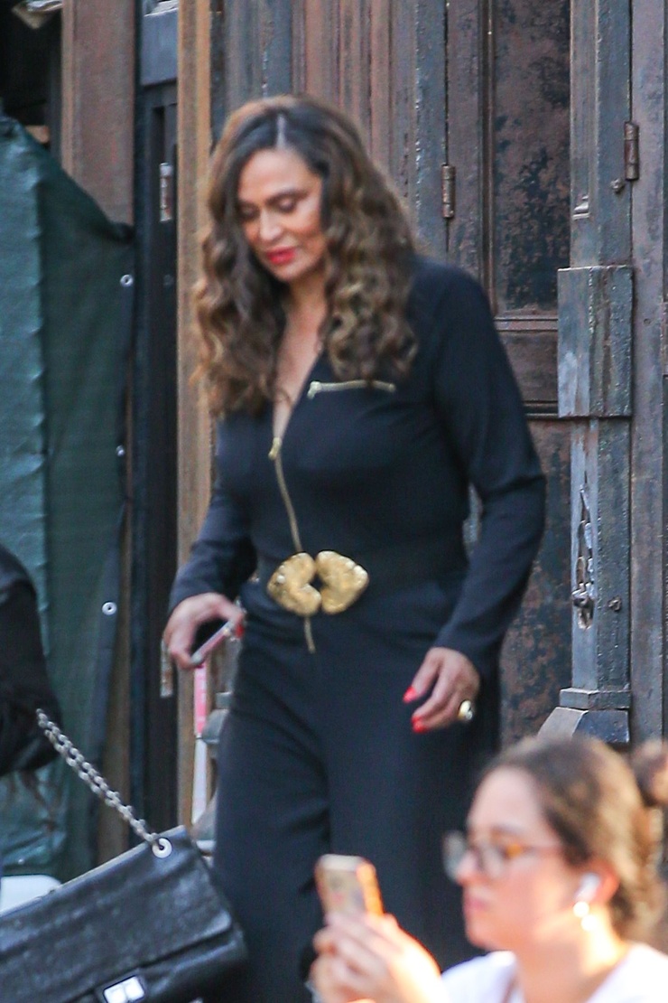 Picture of Tina Knowles