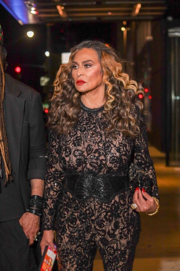 Picture of Tina Knowles