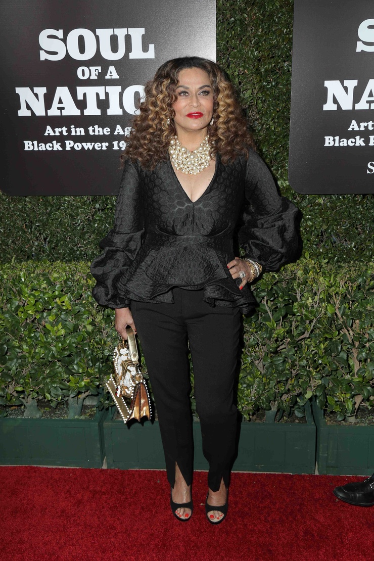 Picture of Tina Knowles
