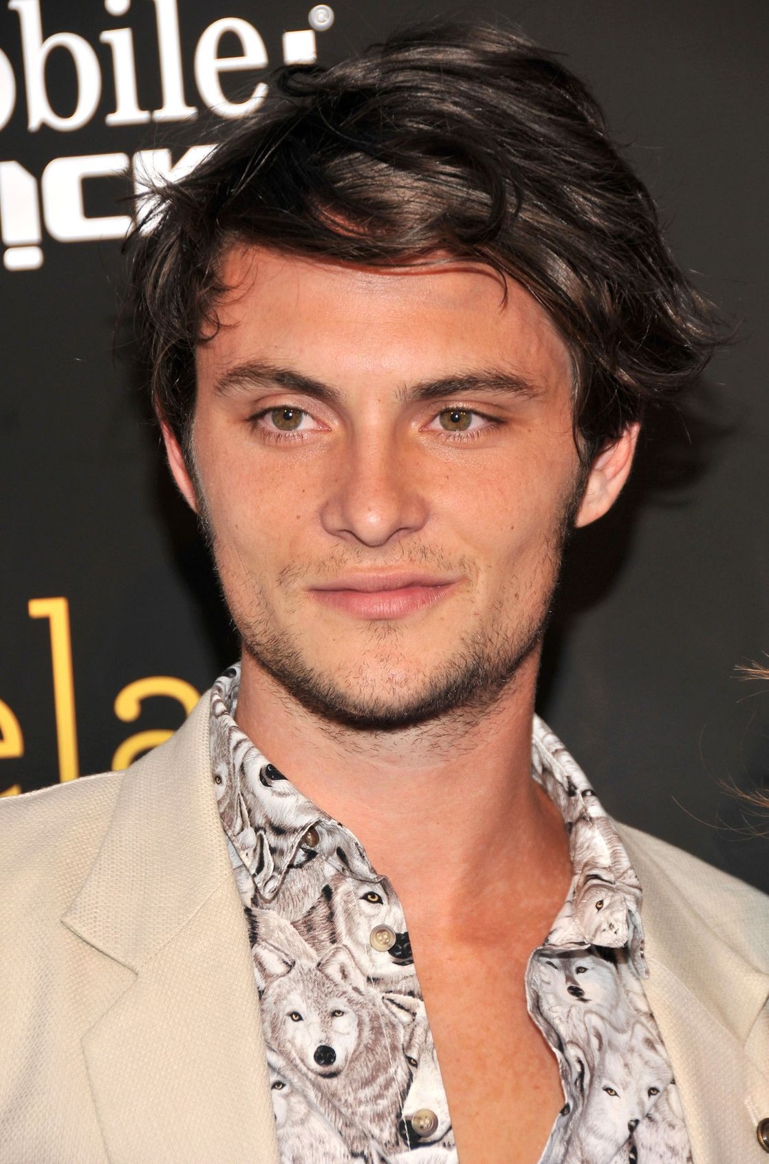 Picture of Shiloh Fernandez