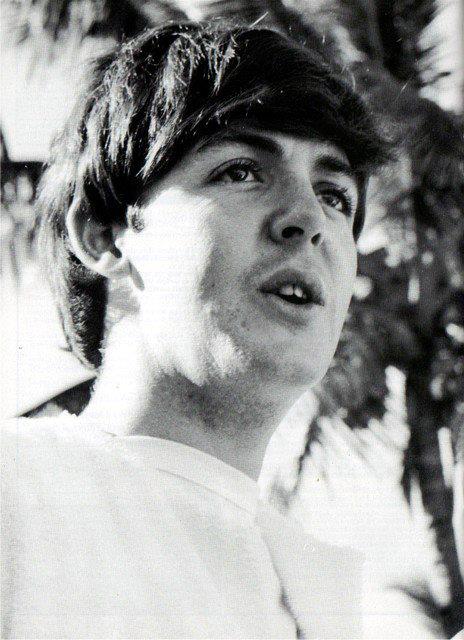 Picture of Paul McCartney