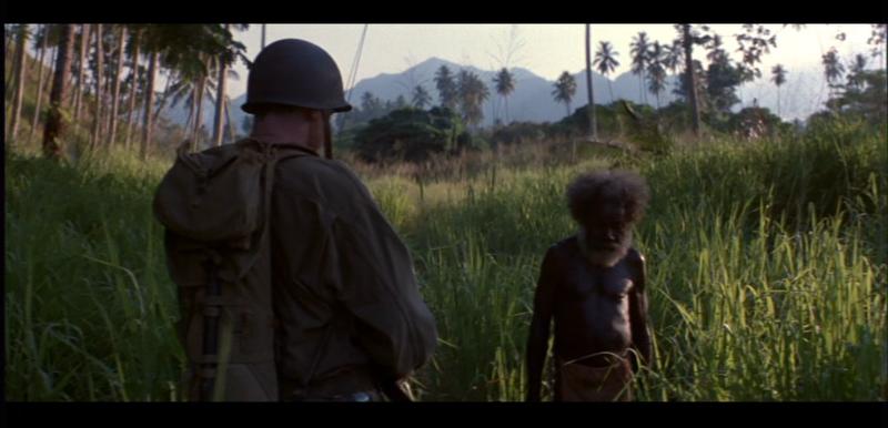 Picture of The Thin Red Line