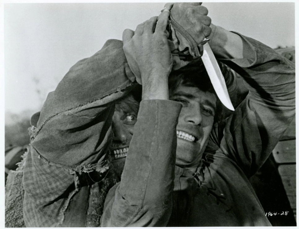 Denver Pyle, Robert Fuller