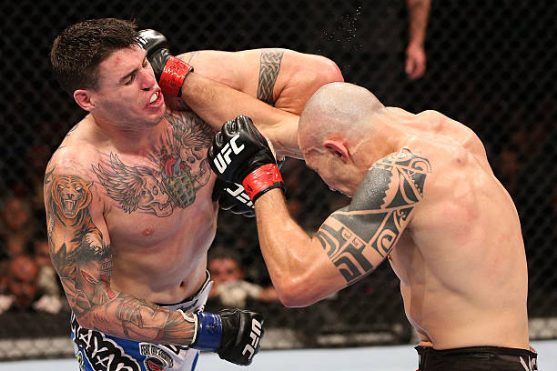 Picture of Luiz Cane