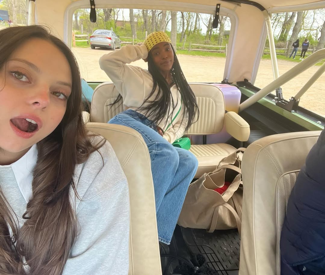 Image of Lovie Simone