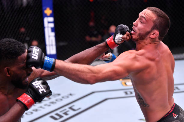 Picture of Anthony Rocco Martin