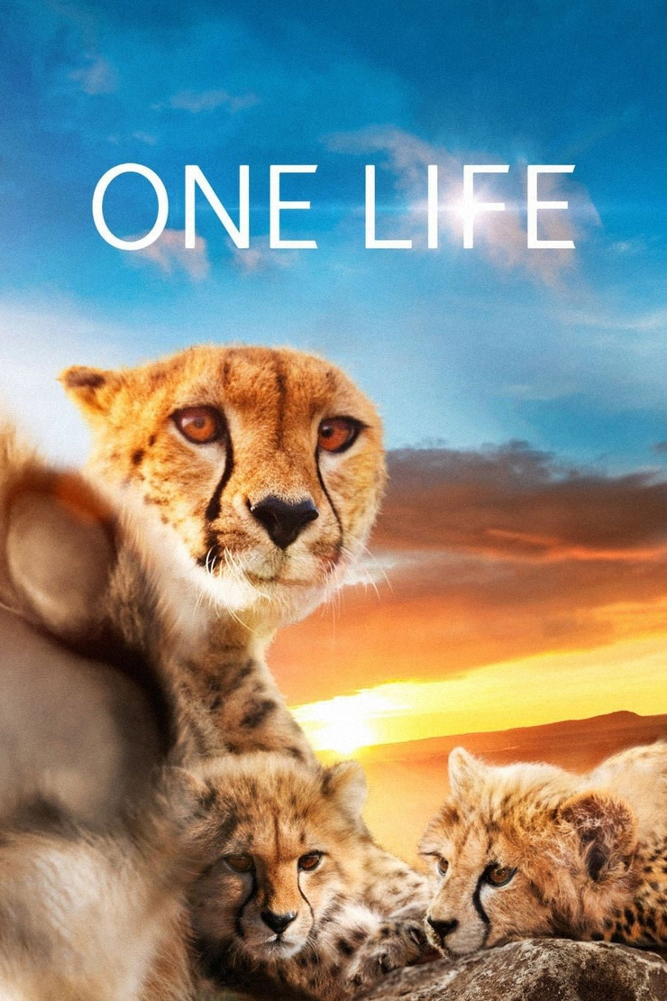 Picture of One Life