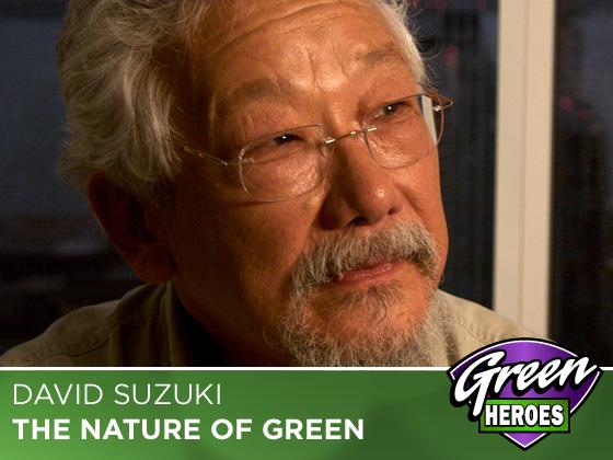Picture of David Suzuki