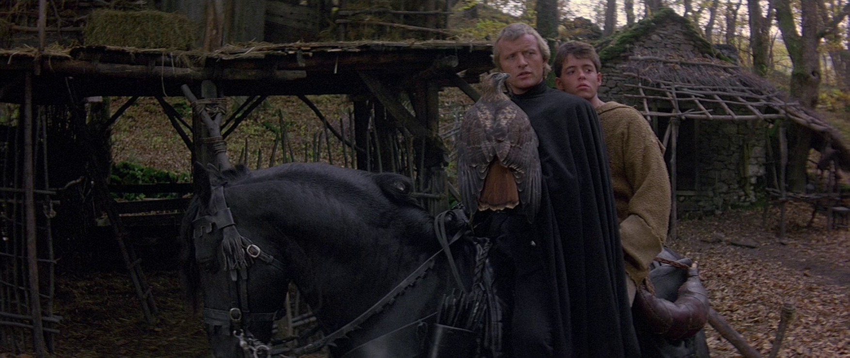 Picture of Ladyhawke
