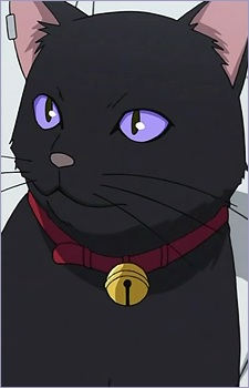 Picture of Mao (Darker than Black)