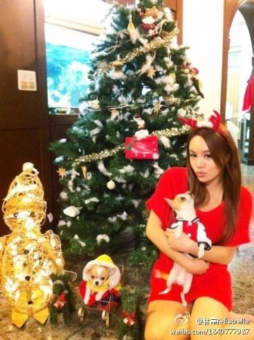 ( Estrella Lin ) Lin Wei Ling picture