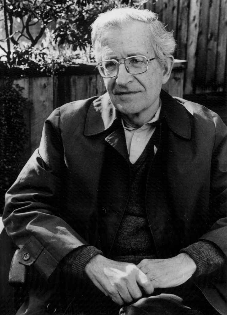 Picture of Noam Chomsky