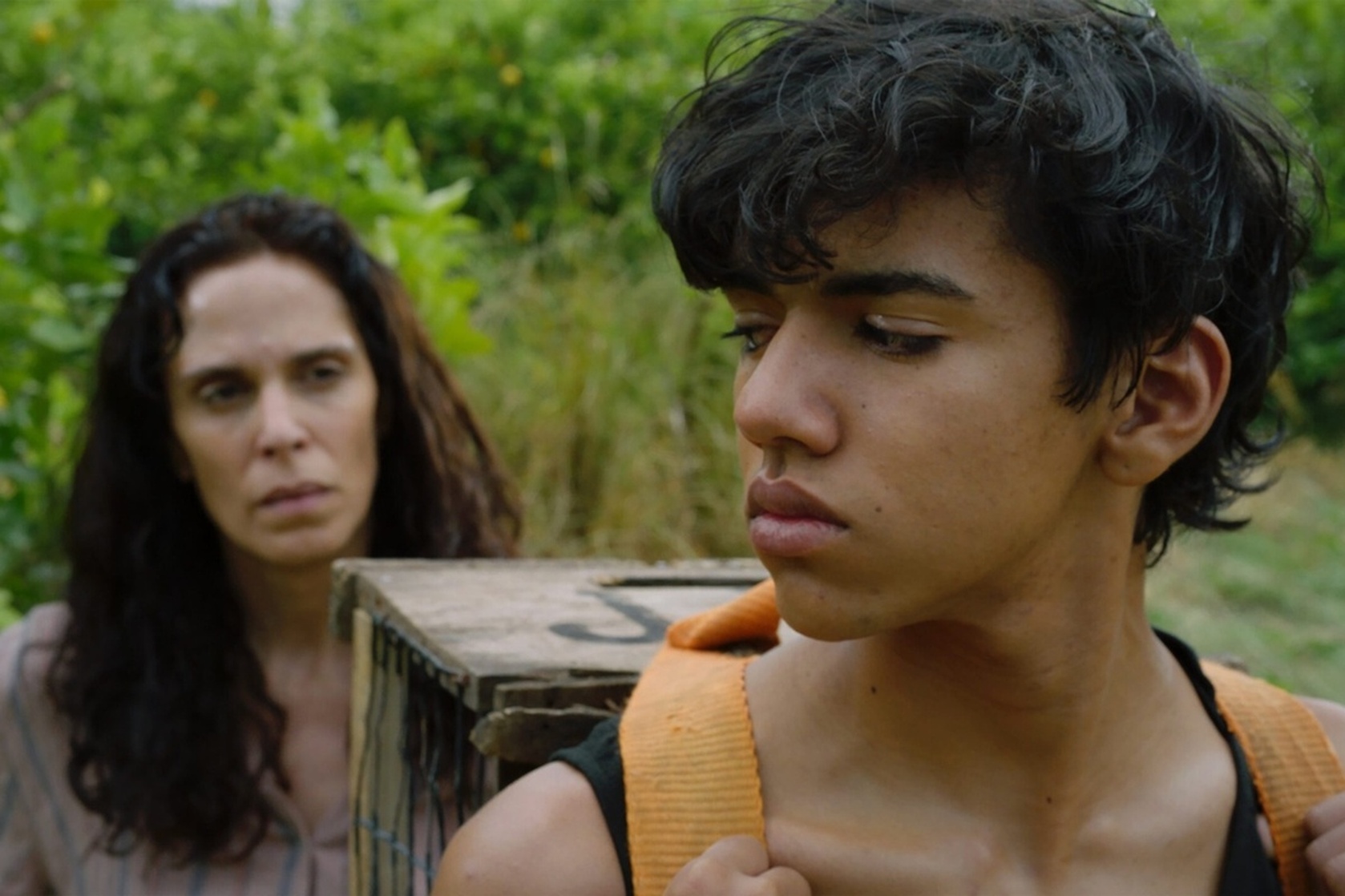 Picture of Keep Coming Back