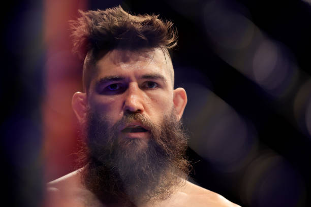 Bryan Barberena image
