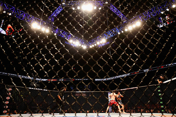 Image of Bryan Barberena