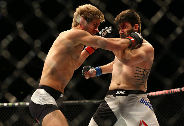 Bryan Barberena image