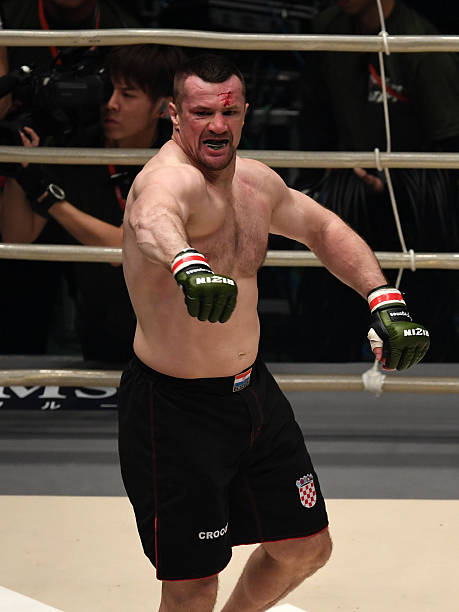 Picture of Mirko Cro Cop Filipovic