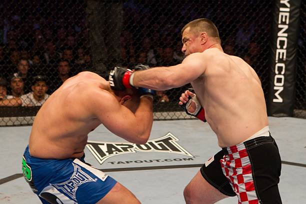 Mirko Cro Cop Filipovic picture