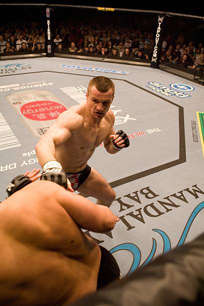 Mirko Cro Cop Filipovic picture