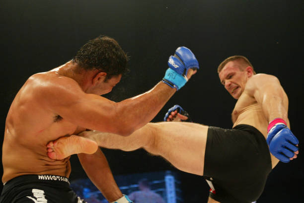 Picture of Mirko Cro Cop Filipovic