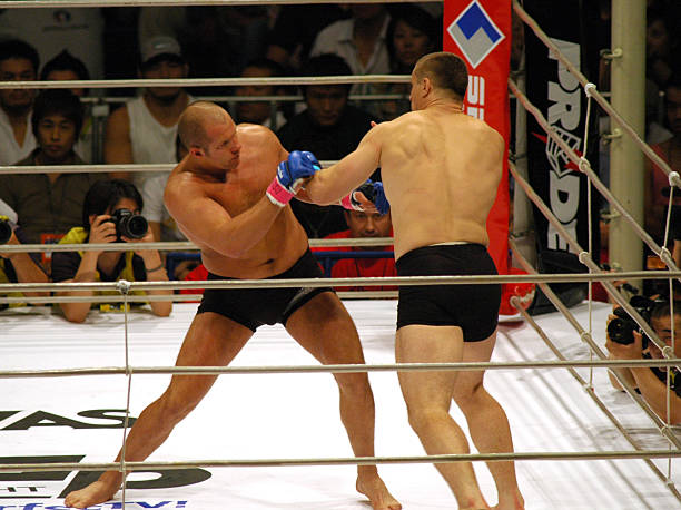 Picture of Mirko Cro Cop Filipovic