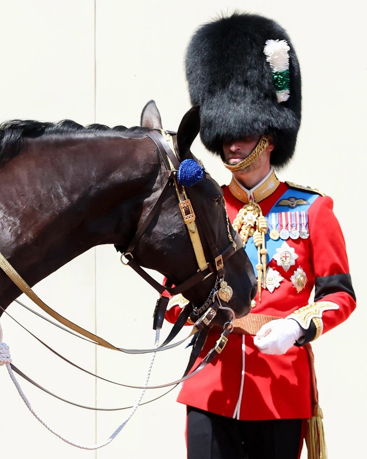 Picture of Prince William Windsor