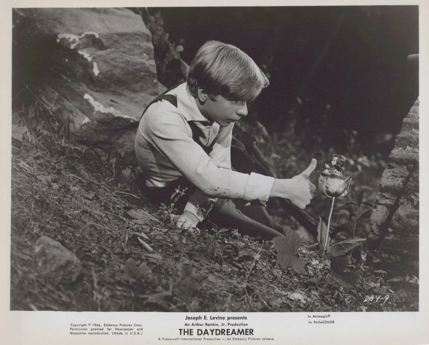 The Daydreamer (1966)