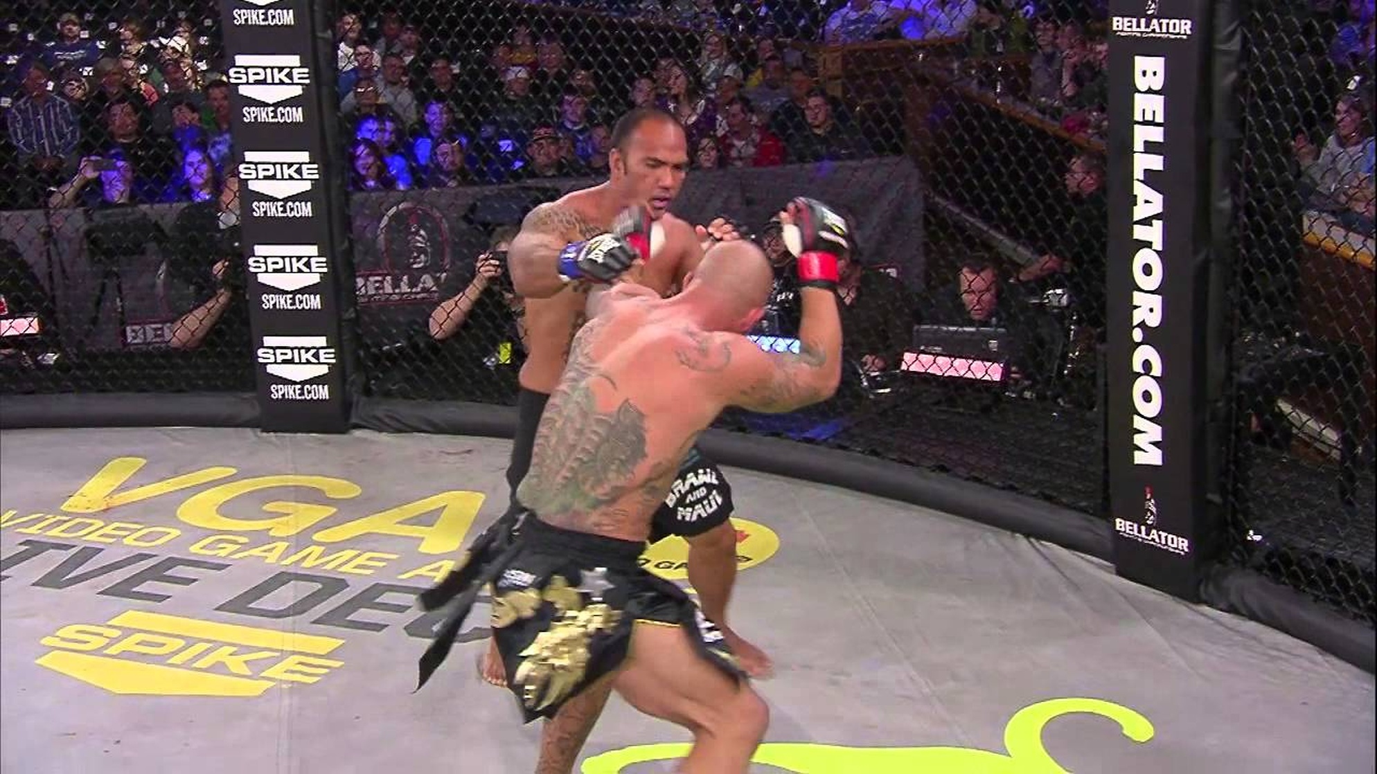 Doug Marshall picture