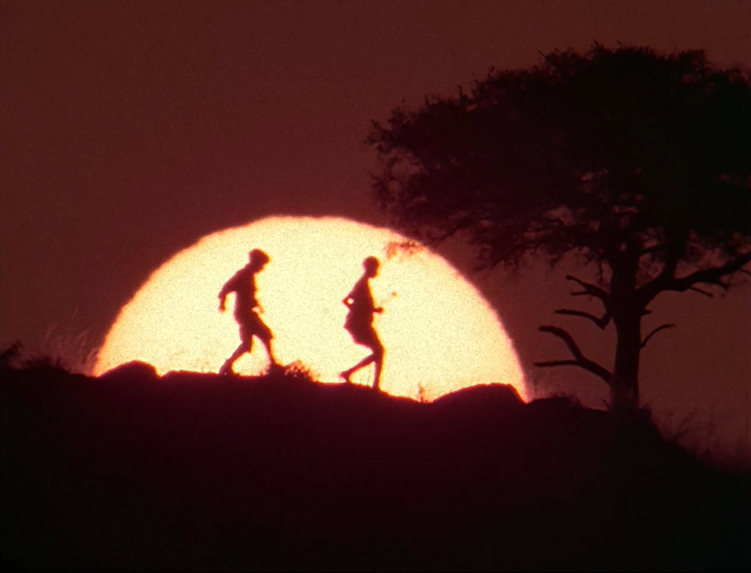 Picture of The Young Indiana Jones Chronicles