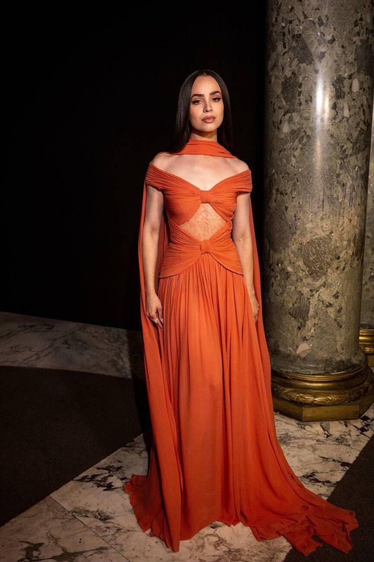 Sofia Carson picture