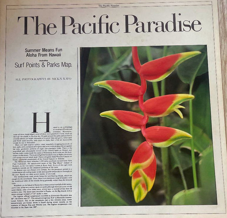 Picture of The Pacific Paradise (Pacific Paradise Vol. 1)