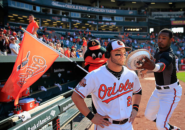 Picture of Steve Pearce