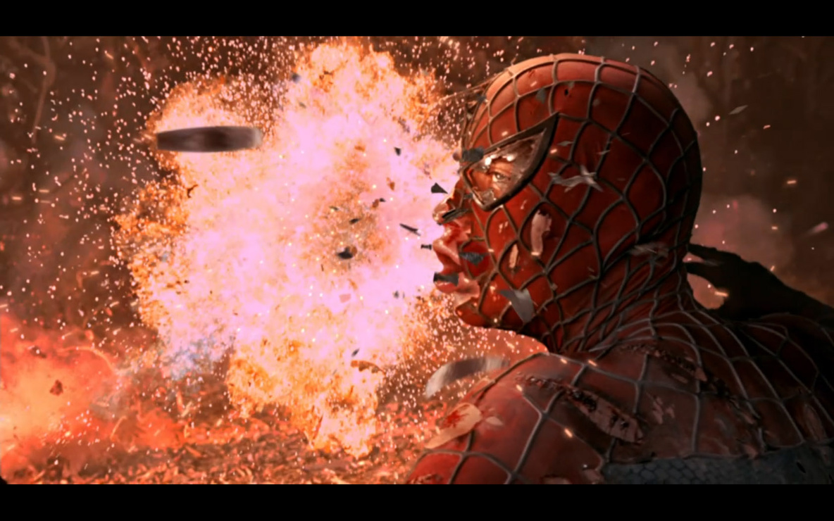 Picture of Spider-Man (Full Screen Special Edition)