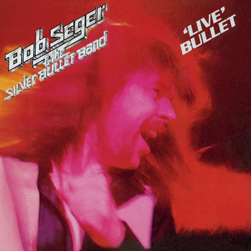 Picture of Live Bullet