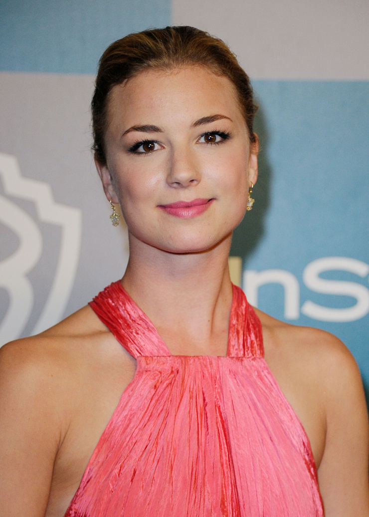 Picture of Emily VanCamp