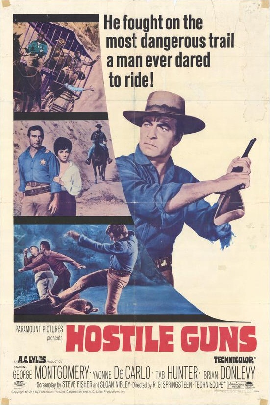 Picture of Hostile Guns