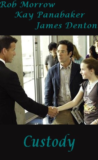 Custody (2007) image