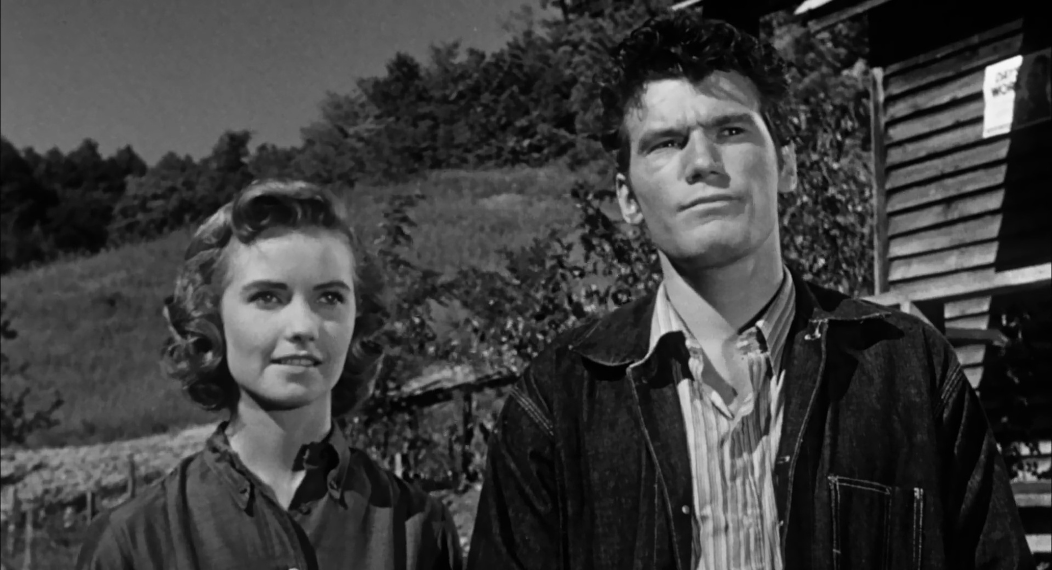 Sandra Knight and Mitchell Ryan