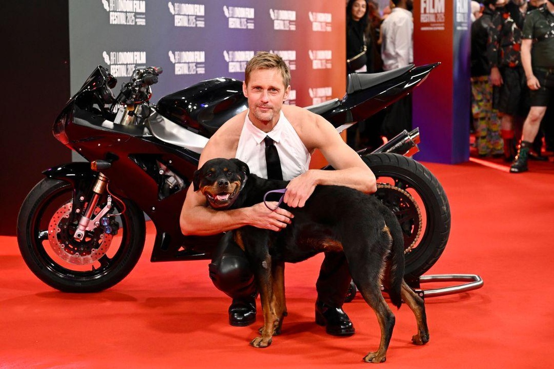 Picture of Alexander Skarsgård