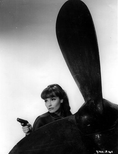 Picture of Suzanne Lloyd