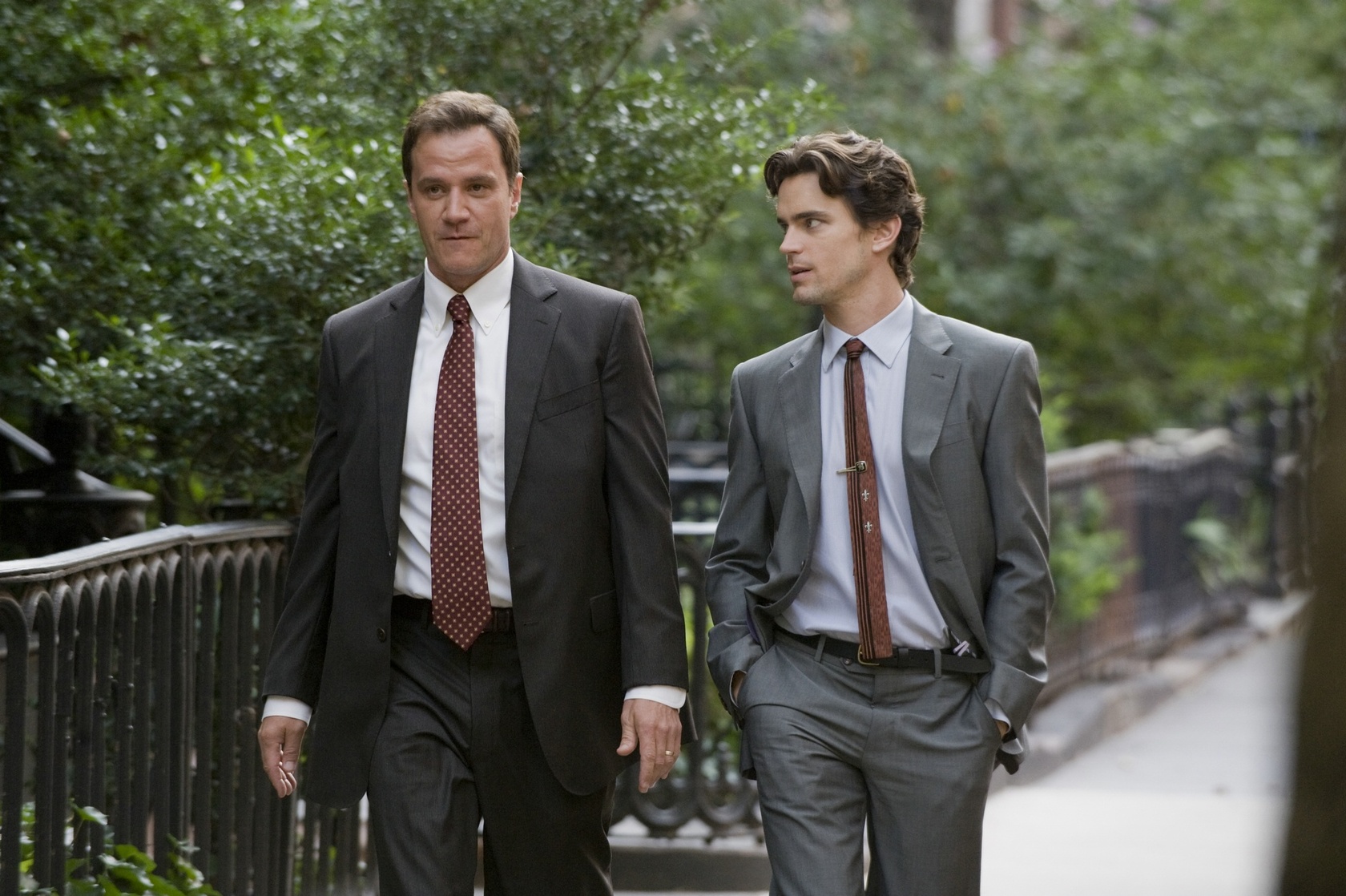 Picture of White Collar