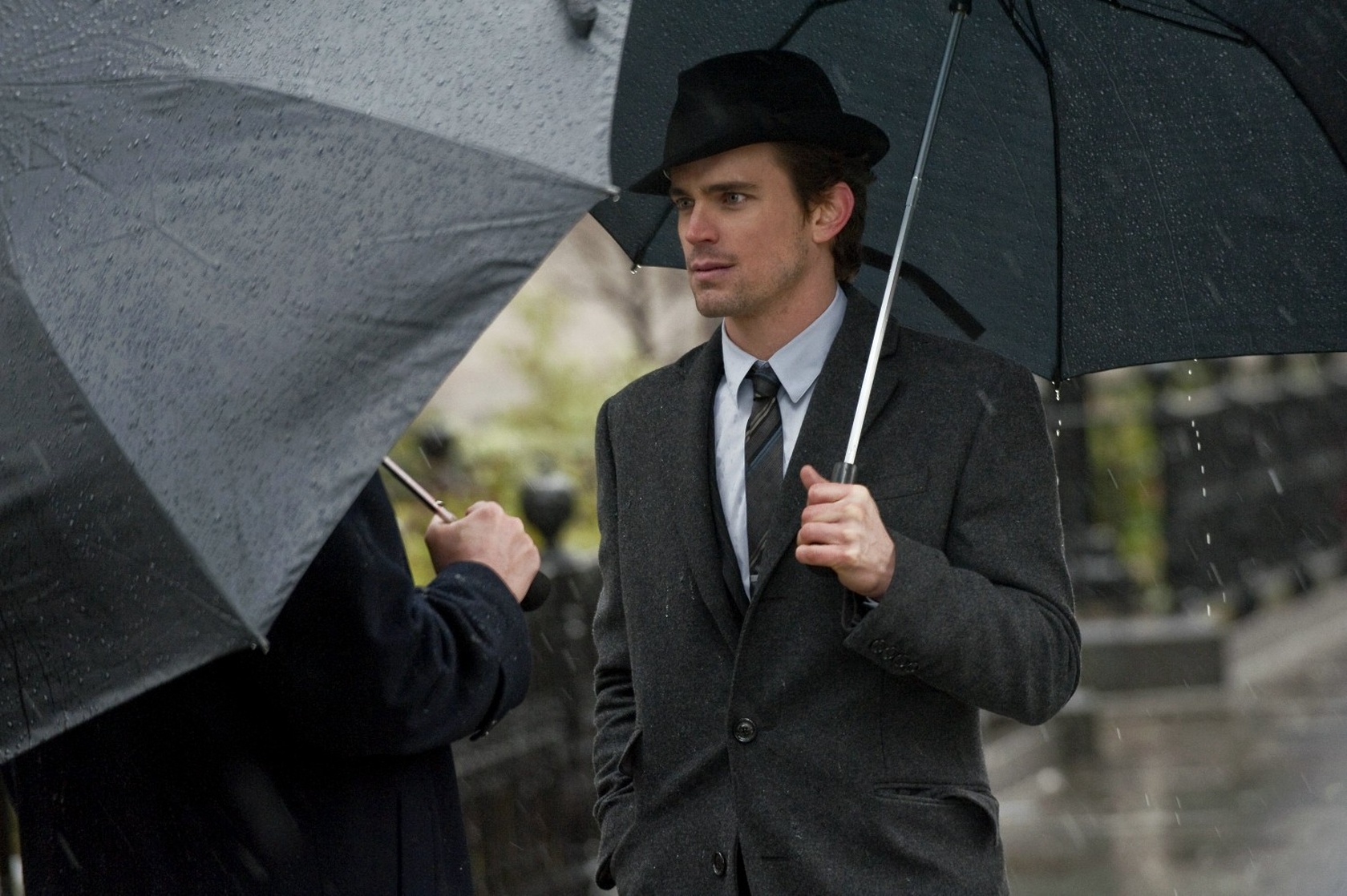 Picture of White Collar