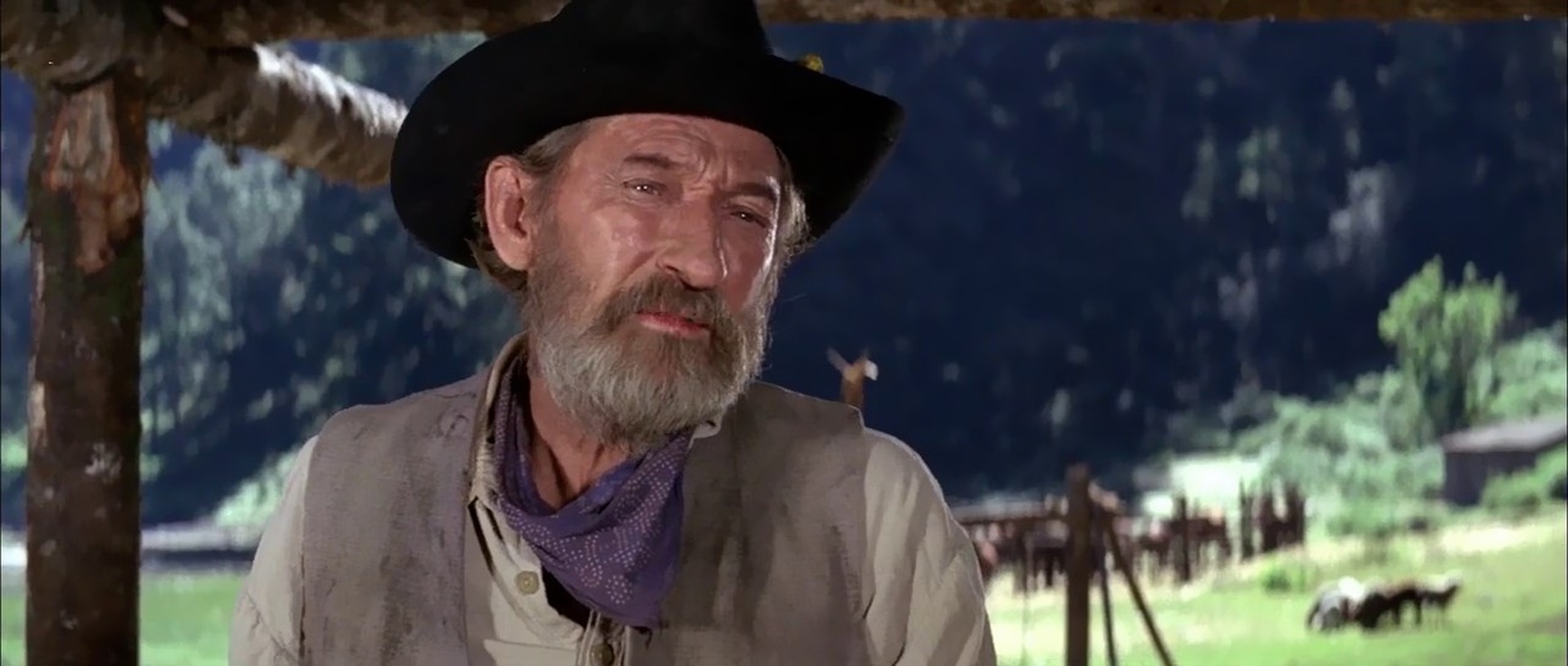 Arthur Hunnicutt