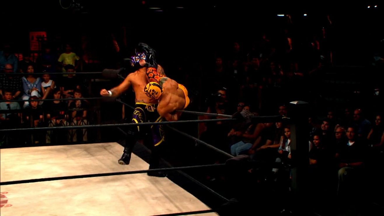 Picture of Fenix vs. Prince Puma (2015/01/14)
