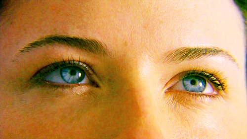 Legend of the Seeker image