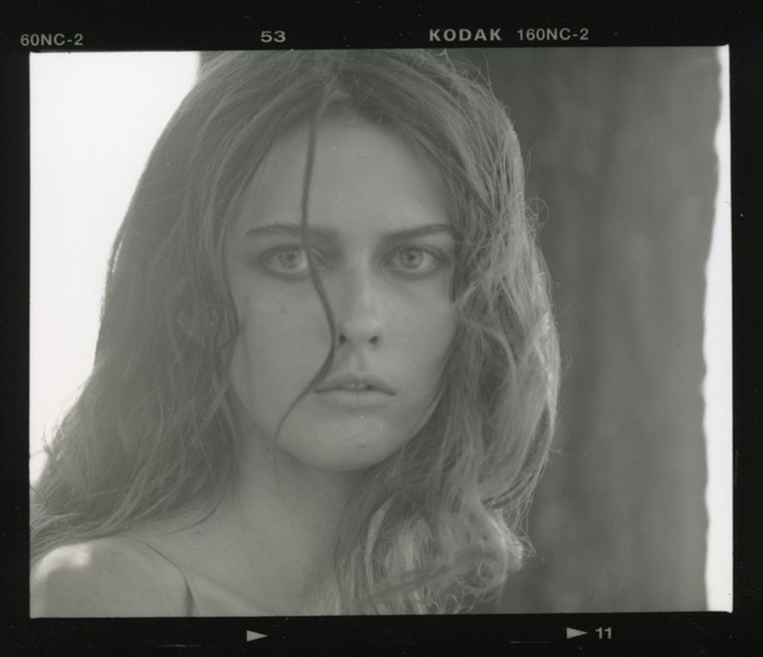 Ann Ward picture