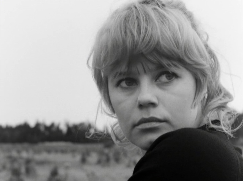 Picture of I Am Curious (Blue)