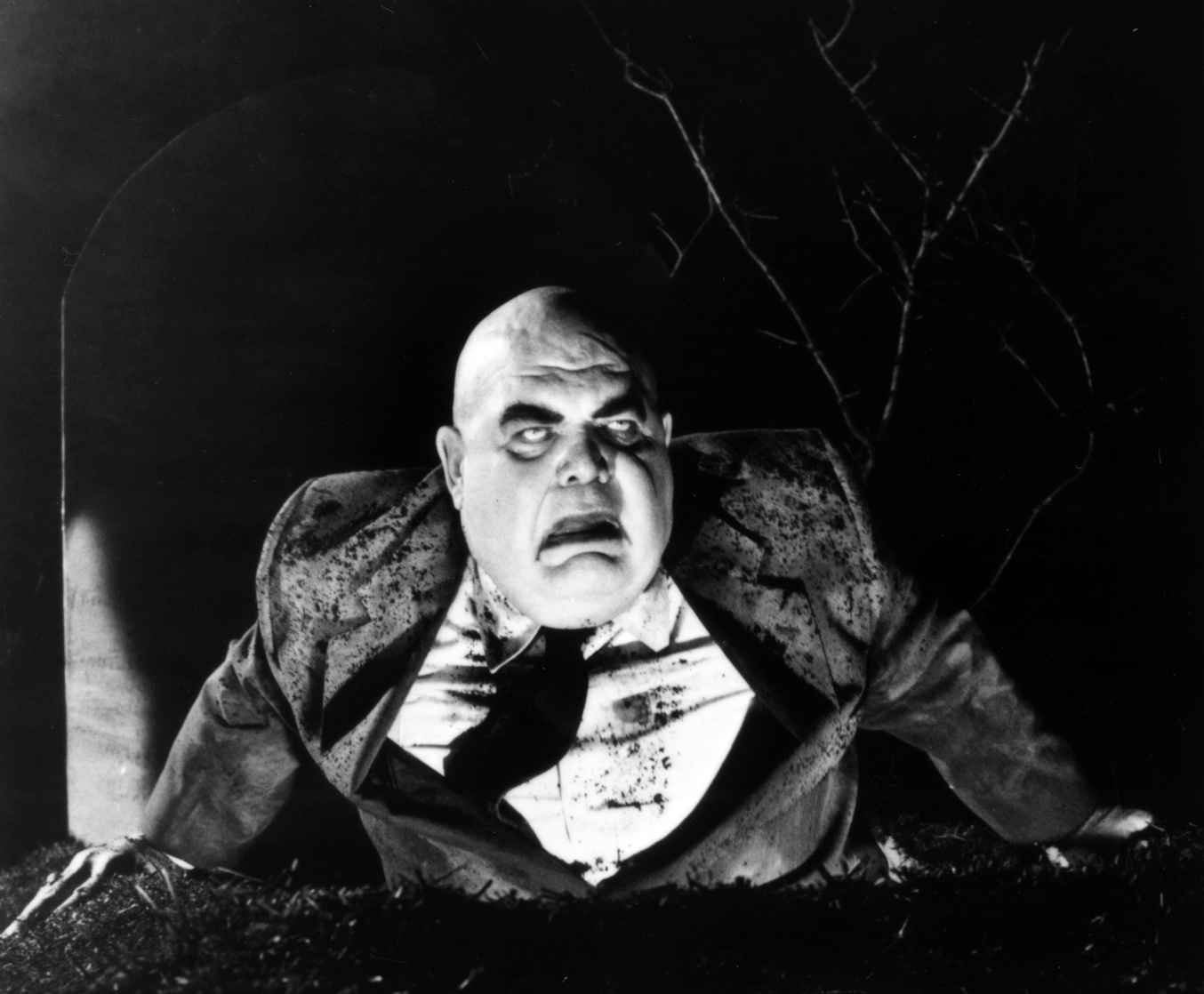 Picture of Ed Wood