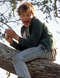 What's Eating Gilbert Grape picture